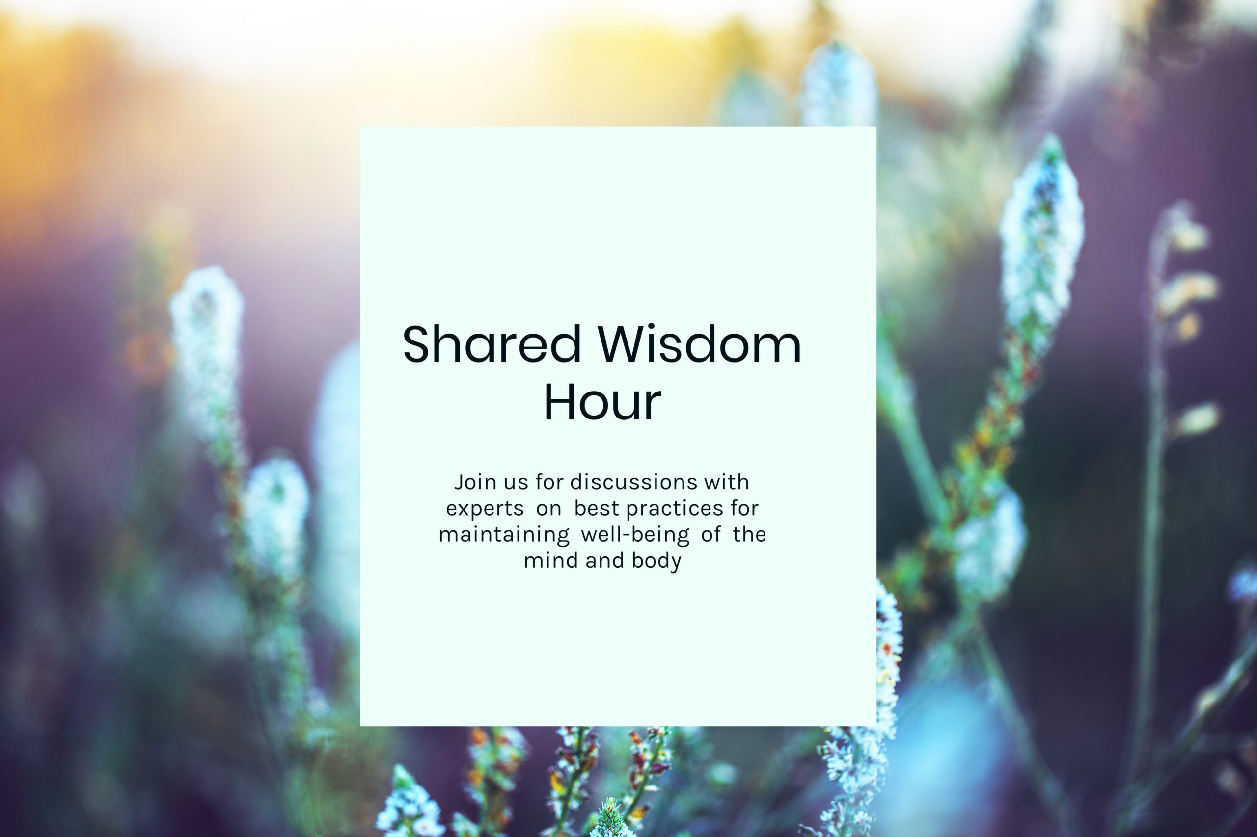 Shared Wisdom Hour: Episode 2 - York Region CBT